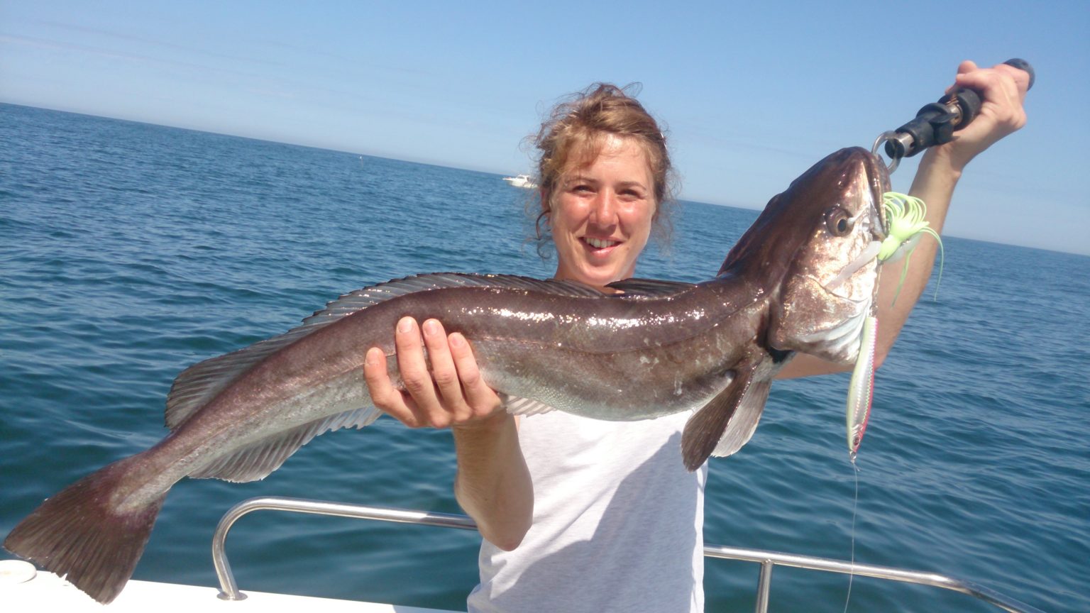 5 astuces pour pêcher le merlu en verticale - Astuce de Pêche