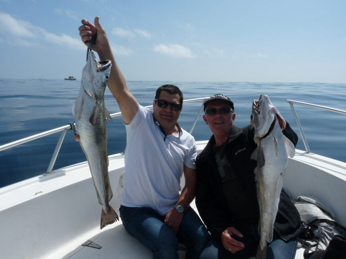 5 astuces pour pêcher le merlu en verticale - Astuce de Pêche