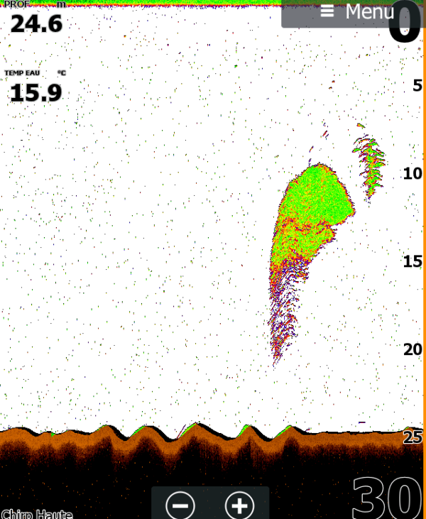 5 astuces pour mieux pêcher la bonite à la traîne - Astuce de Pêche
