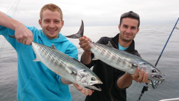 Mes 4 meilleurs leurres pour la bonite à la traîne - Astuce de Pêche